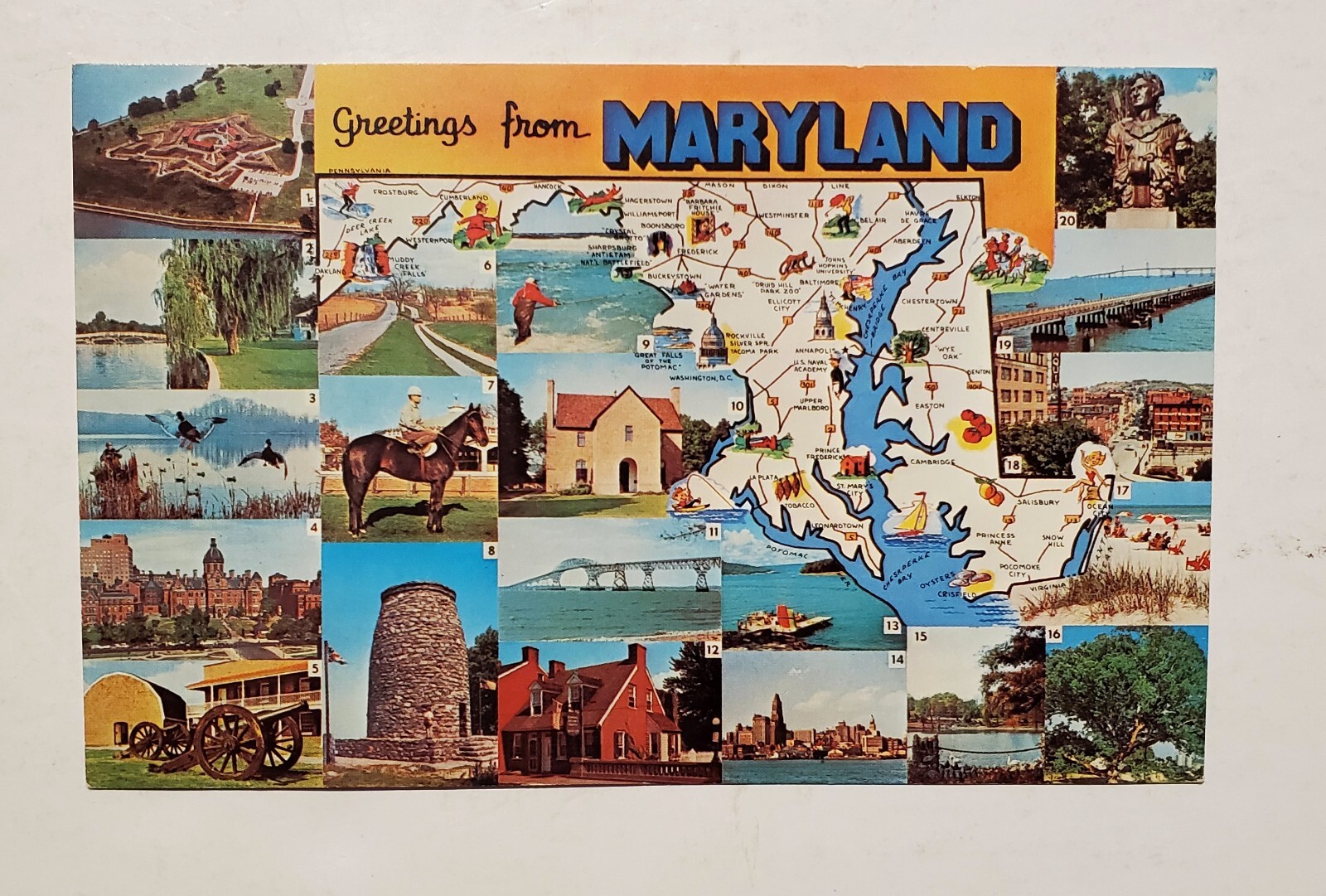 Vintage Postcard : Greetings From Maryland (70s?) | eBay