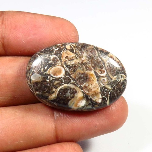 Pierre Précieuse Turtella 39x23mm Marron Turtella Ovale Simple Poli ...