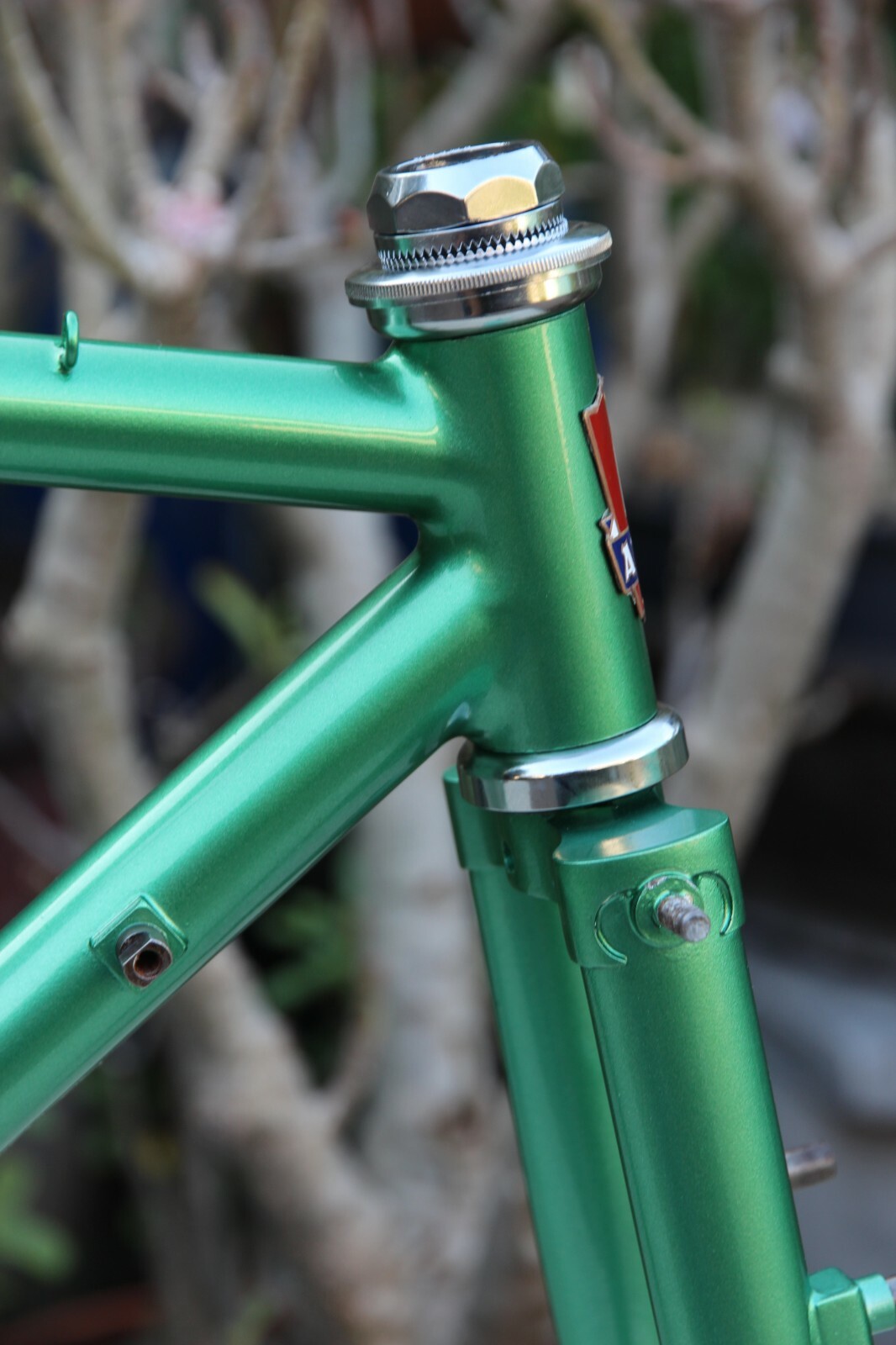 Very rare Alps Rover touring camping frame / Toei / Randonneur / Rene ...