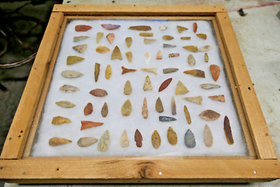 Lot of 65 Indian Native American Arrowheads Bird Points Display Case ...