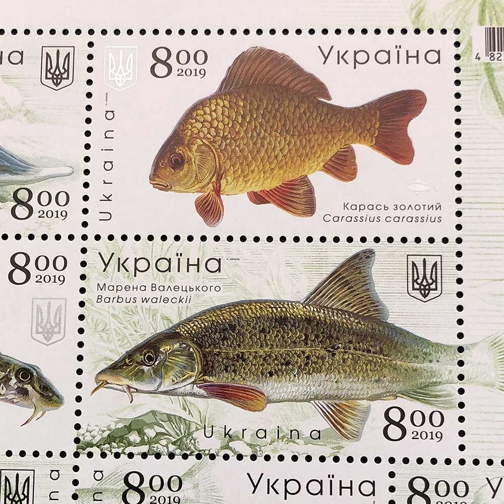 Ukrainian stamps 2019, Sheet «Red Book of Ukraine. Freshwater fish» | eBay