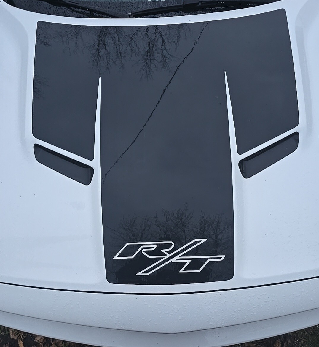 Challenger R/t Hood Mopar 68259670AA | eBay