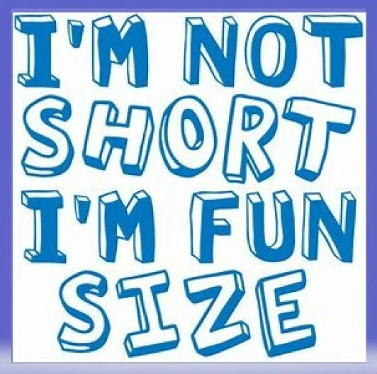 Vertically Challenged Logo