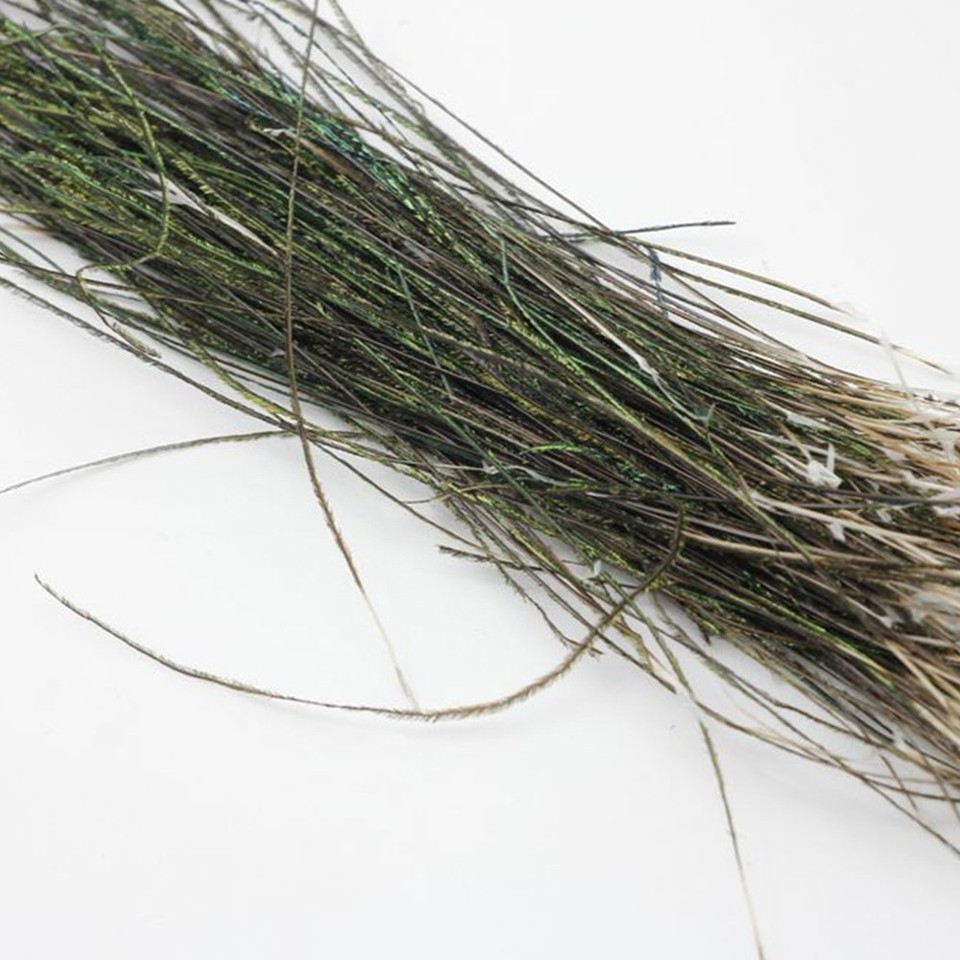 Peacock Herl Feather Wire Eacock Feather Fly Herl Material Peacock ...