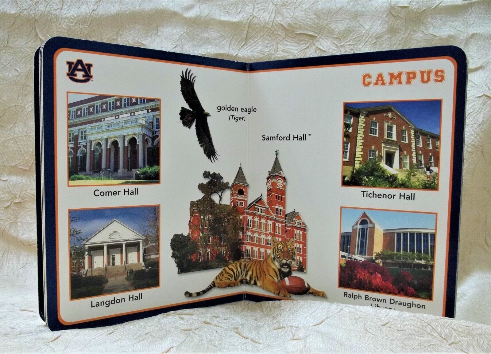 Auburn University 101 My First Text Board Hardcover Toodler Book ...