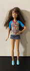 Mattel 2010 Barbie Little Sister Skipper Doll Blue Streak Hair | eBay