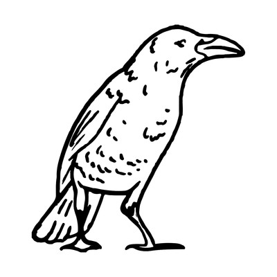 3x Car Stickers Raven Tuning Car Rear Window 9x9 cm | eBay UK