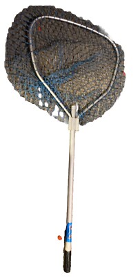 Ranger Landing Net, Collapsible Handle, Great For Steelhead Or Salmon ...