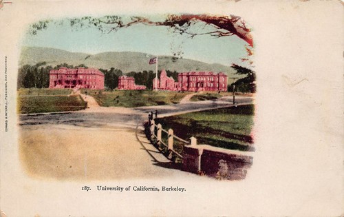Berkeley CA University of California Campus Early 1900s Mitchell Vtg ...