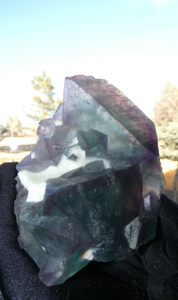 Absolute STUNNING multi-color Fluorite Mineral Specimen, U.S. Veteran ...