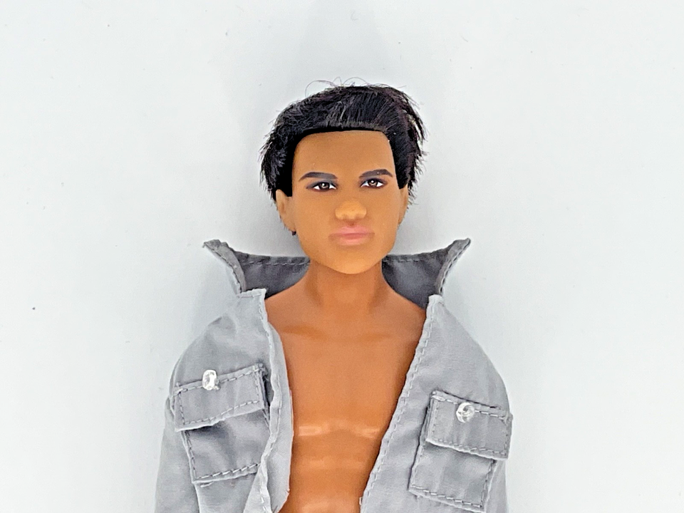 Barbie Collector Twilight Saga New Moon Jacob Doll | eBay
