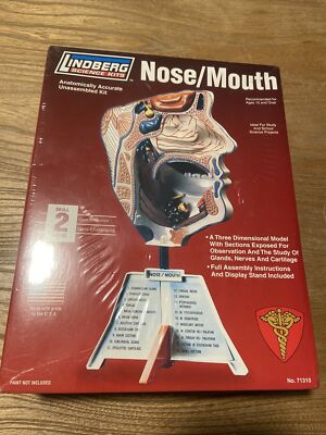 NEW Lindberg Science Kits Human Nose and Mouth Anatomy 3D Model Kit | eBay