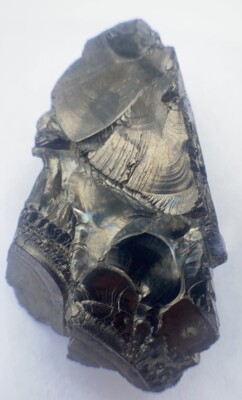 Elite Noble Deep Mine Shungite Raw Stone 74grams! Karelia Russia EMF ...