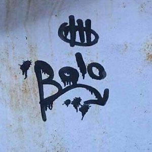 Yolo The Bolo | eBay Stores