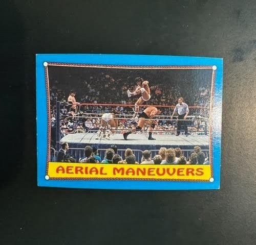 1987 Topps WWF #61 Aerial Maneuvers Can Am Connection wrestling card NM ...
