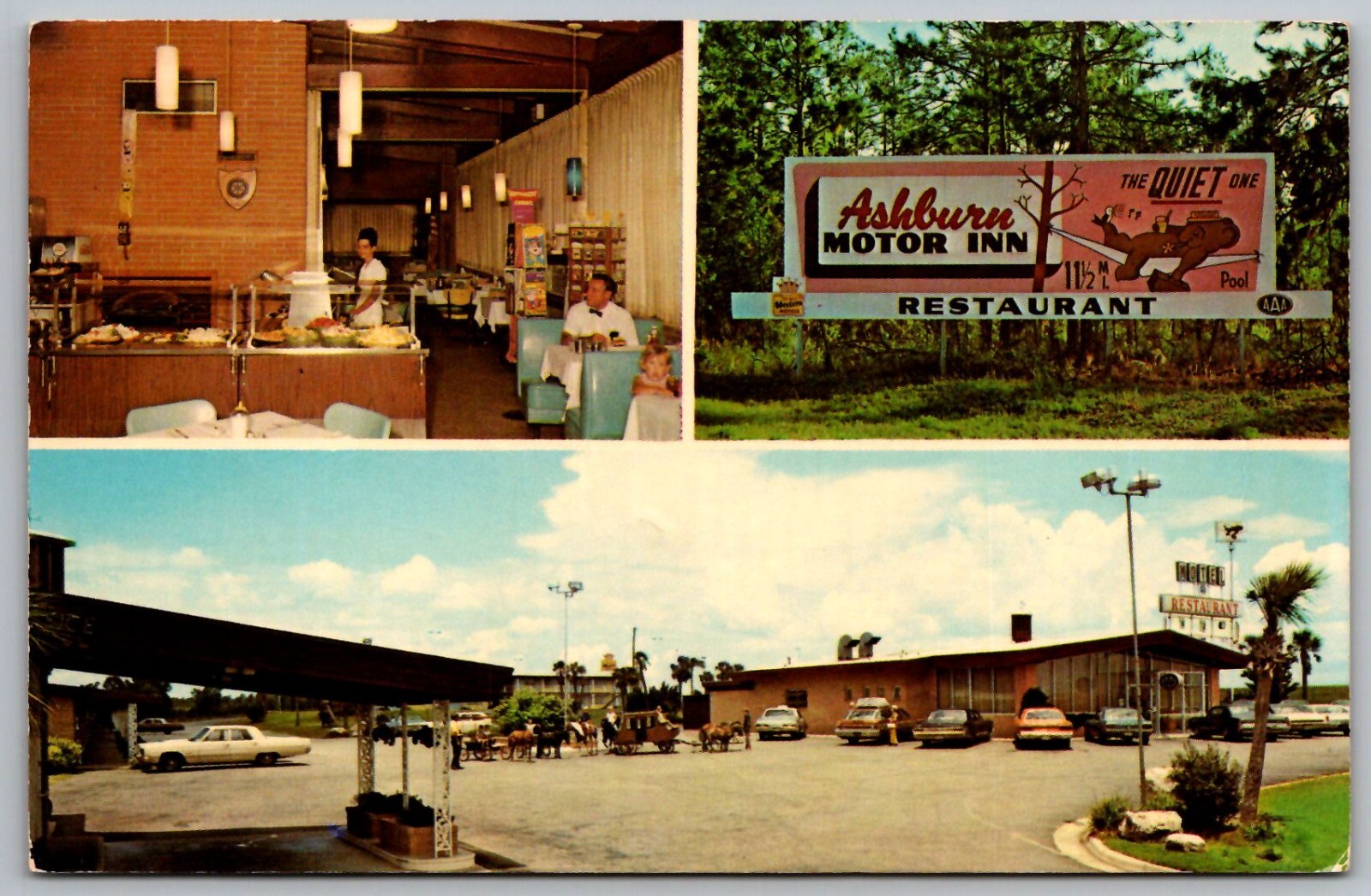 Vintage Postcard - Ashburn Motor Inn & Restaurant - Hwy 75 - Ashburn ...