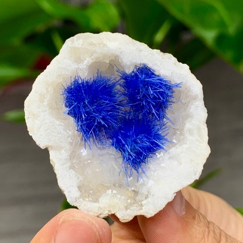 20G Rare Moroccan blue magnesite and quartz crystal coexisting specimen ...