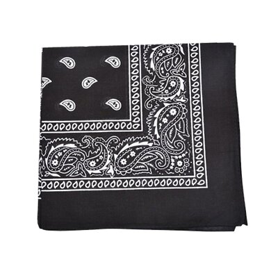 Extra Large Polyester Paisley Bandanas 27 x 27 In - 6 Pack - Party and ...