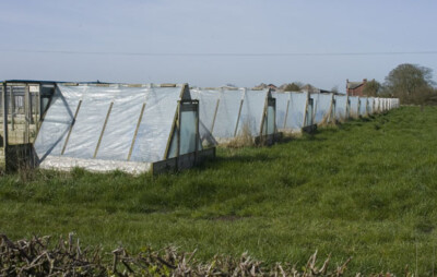 Photo 6x4 Game hatchery near Scronkey c2009 | eBay UK