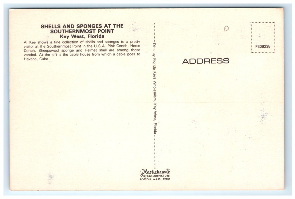 Shells Sponges Southernmost Point Key West FL Postcard | eBay