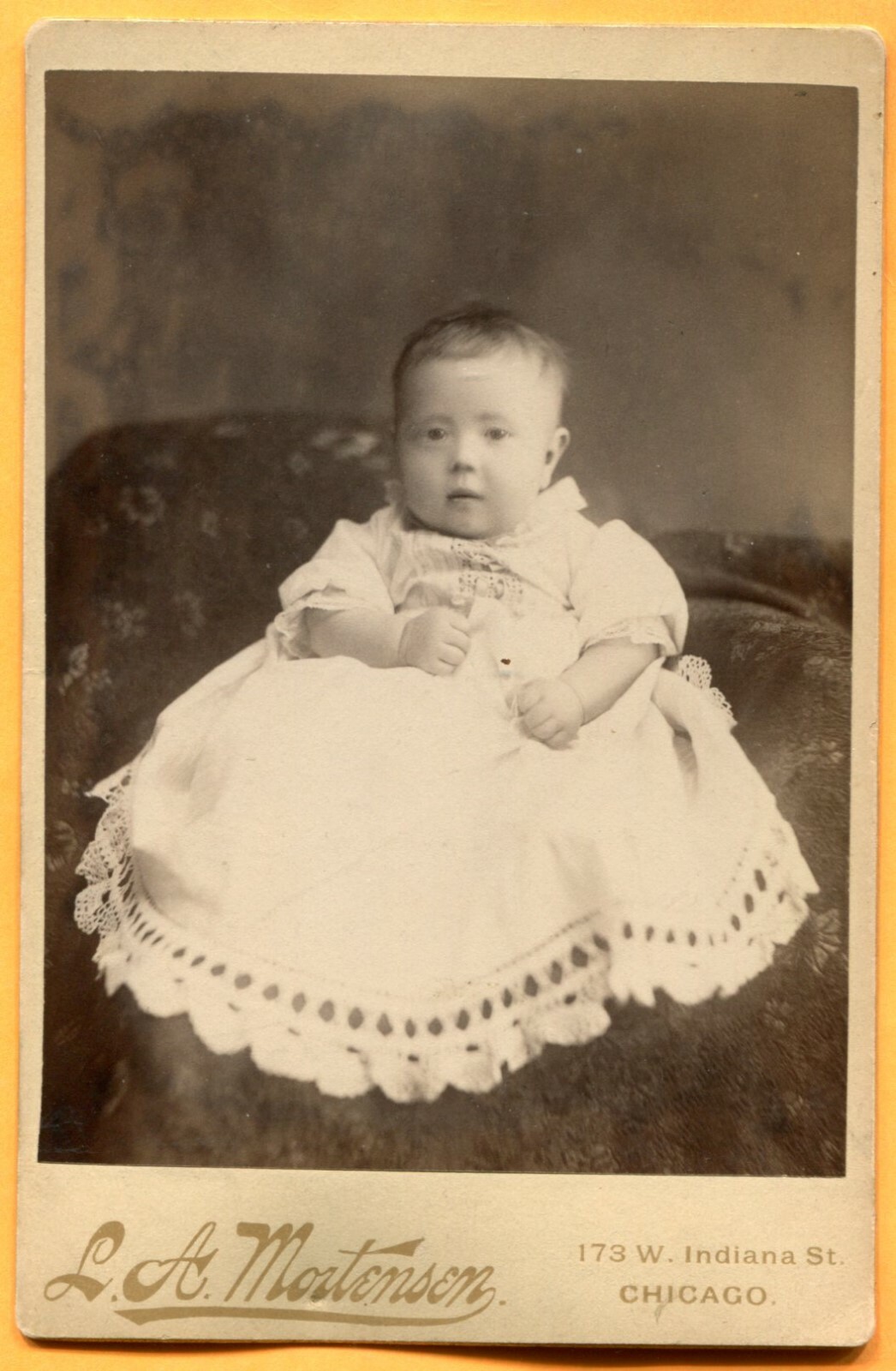 Chicago, IL, Portrait of a Baby, by Mortensen, circa 1880s | eBay