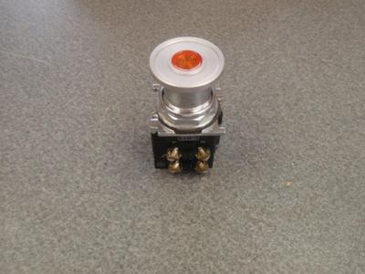 120V AC/DC Resistor 120V Lamp With Push Button | eBay