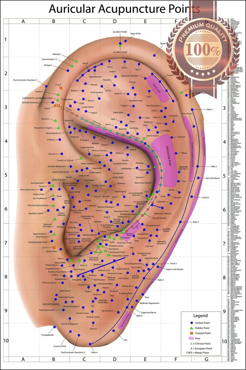 Acupuncture Map