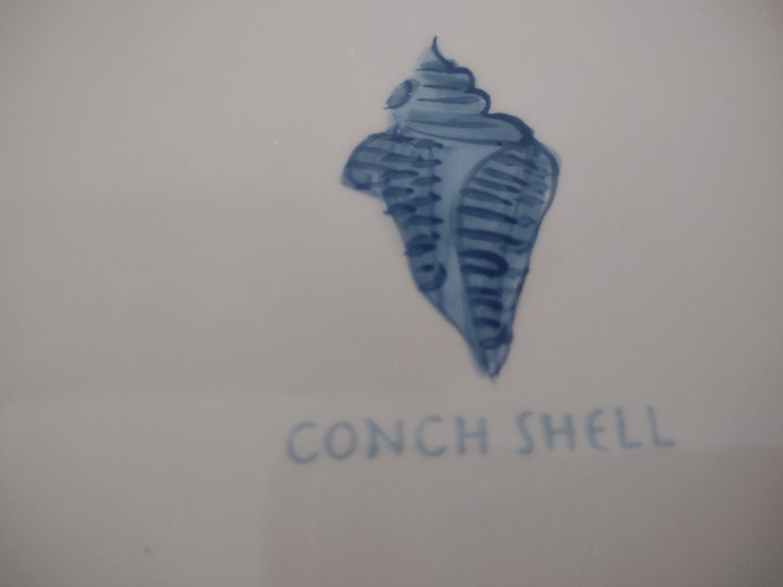 2 Pfaltzgraff Salad Plates --- Beachcomber --- Sea Horse / Conch Shell ...