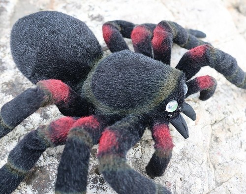 Goliath Birdeater Spider 8 Inch Stuffed Insect Animal Plush Toys Doll ...