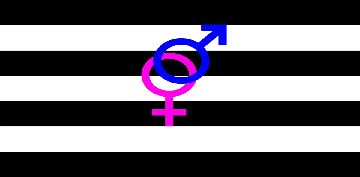 Heterosexual Flag