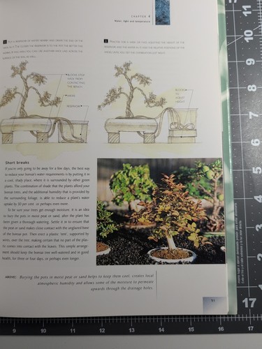 (2001) THE BONSAI HANDBOOK (David Prescott) (1st Edition HardCover with DJ) #BKS | eBay