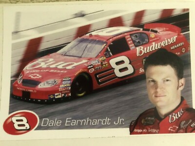 Dale Earnhardt Jr. #8 Budweiser Sticker 7" x 11" New Nascar | eBay