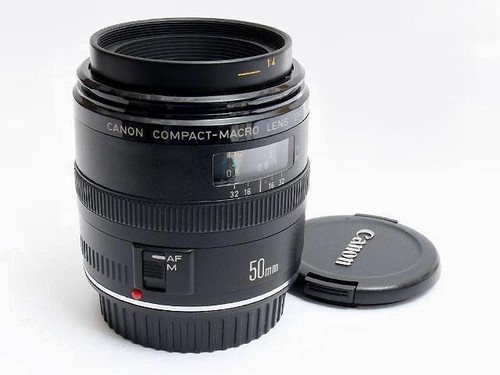 Canon EF 50mm F2.5 Compact Macro AF Standard Prime Lens Full Frame from ...