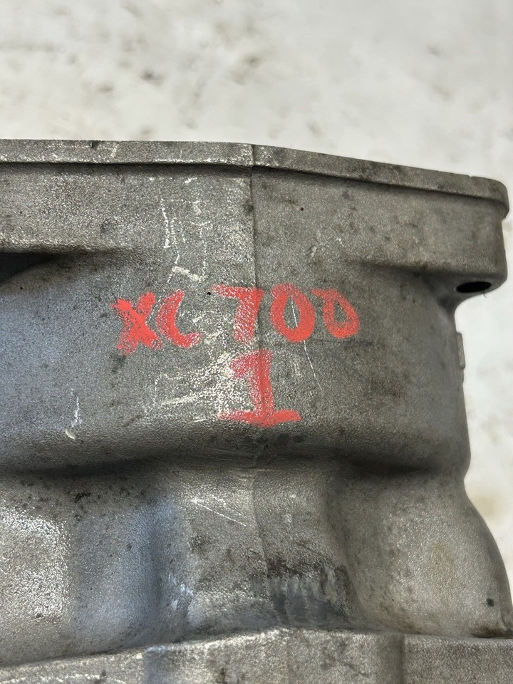 97-01 Polaris 5131824 Cylinder Jug XC RMK 700 Liberty Twin Engine ...