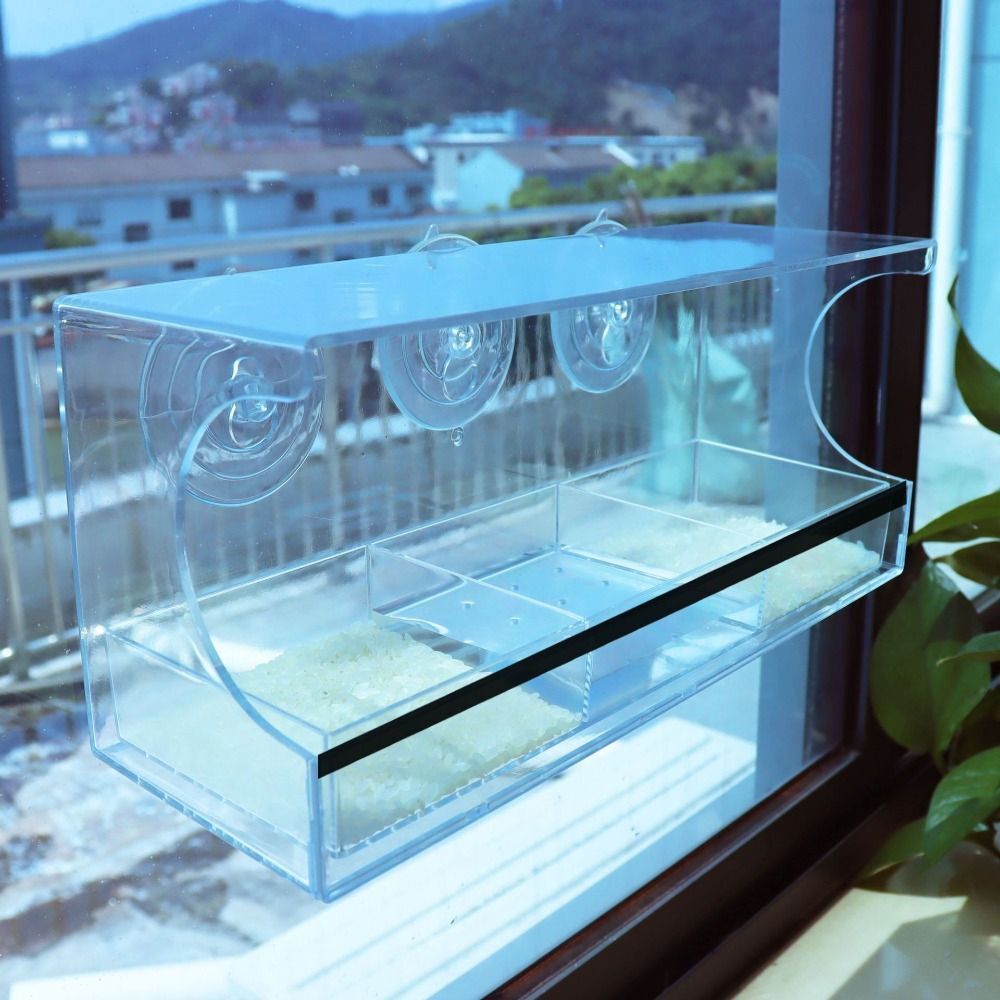 Feeding House Birds Hanging Feeder Birdhouse Food Feeding Window Bird ...