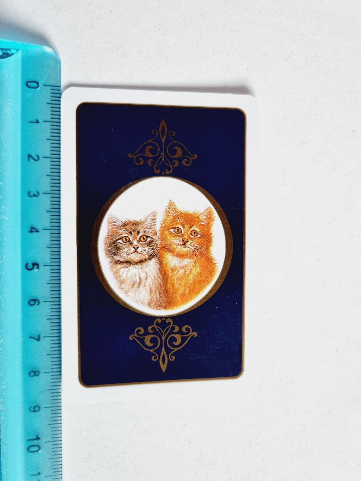 Brown Tabby Shorthair Cats Cat Card Rare Cat 1988 Blue Card Original ...