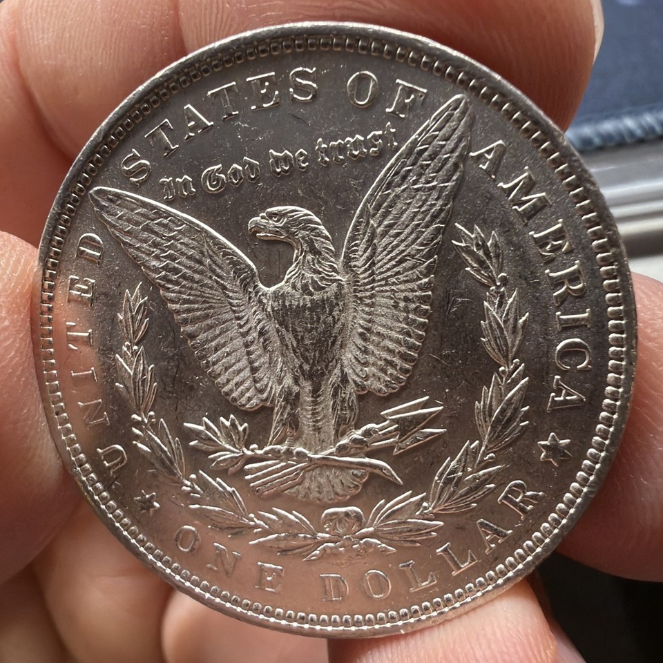 1891 P MORGAN SILVER DOLLAR! BEAUTIFUL UNCIRCULATED Coin! | eBay