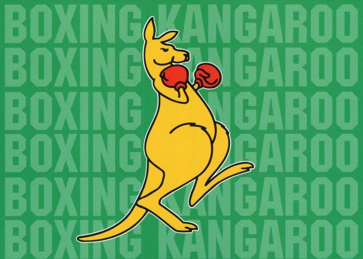 Kangaroo Cartoon Boxing Boxing Kangaroo PNG Transparent Images Free