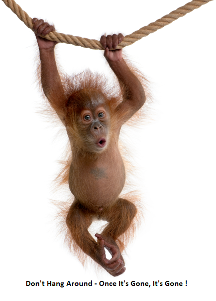 Apollo AlarmSense Manual Call Point ReSettable Optional Protective ...