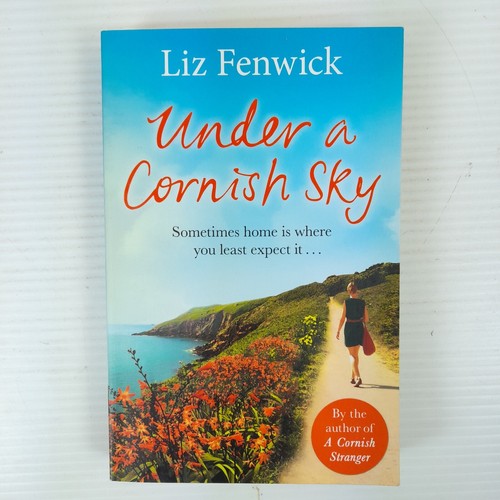 Under a Cornish Sky by Liz Fenwick Romance Intrigue Relationships ...