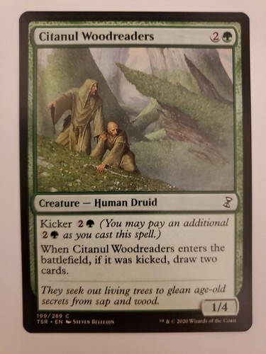 MTG Magic The Gathering Card Citanul Woodreaders Creature Human Druid ...