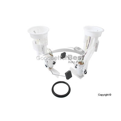 One New Genuine Fuel Pump Module Assembly 16116755043 for BMW X5 | eBay