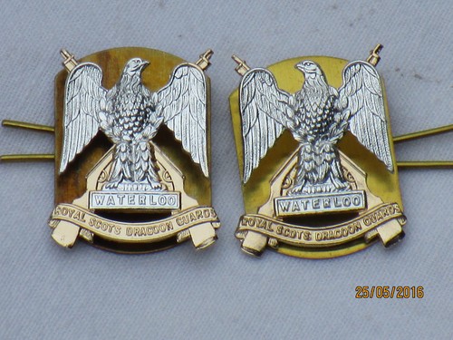 Royal Scots Dragoon Guards, RSDG, Anodised Aluminium Staybright, Collar ...