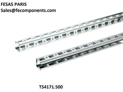 Rittal Ts4171.500 Punched Rail 23 x 23mm for Flex-Block | eBay