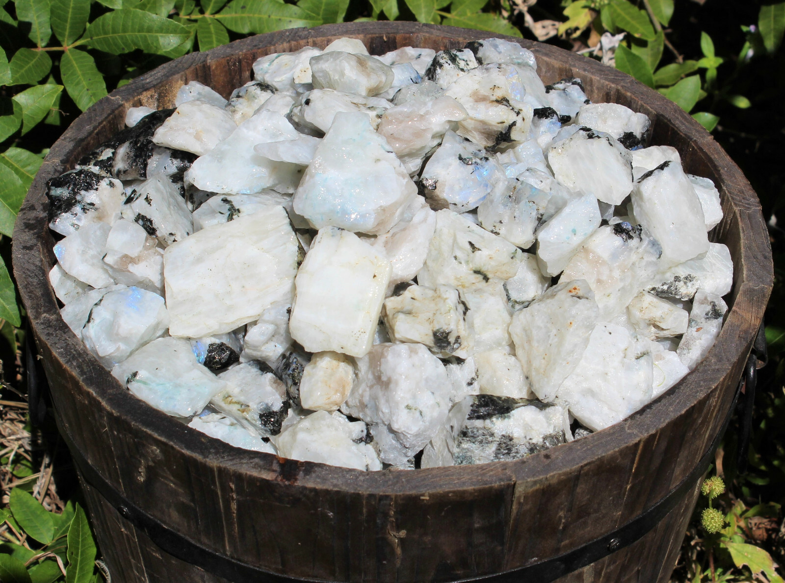 1 lb Bulk Lot Natural Rough Rainbow Moonstone Crystals (Raw Reiki Rocks ...