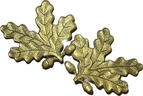 WW2 German Political Leaders 4-leaved Aluminium oak leaf Insignia For ...