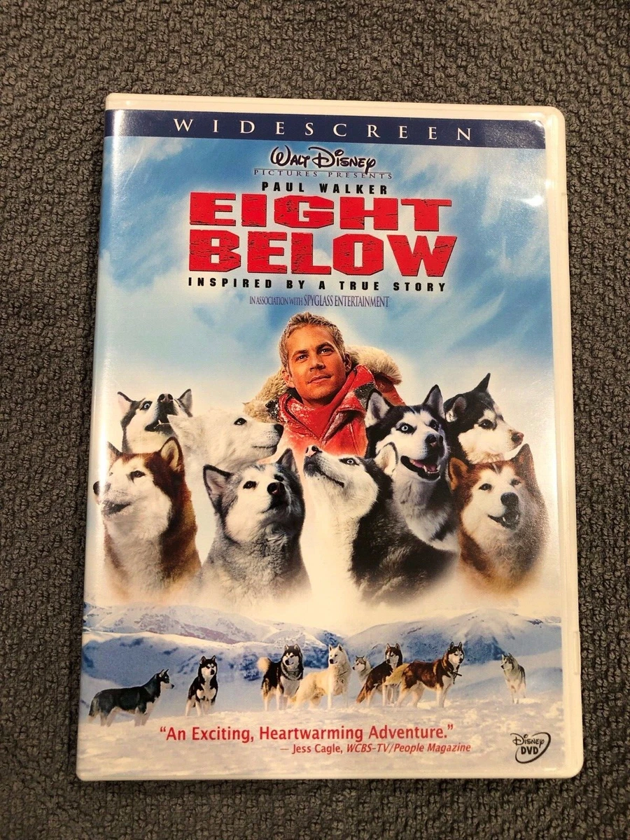 Eight Below Dewey And Truman