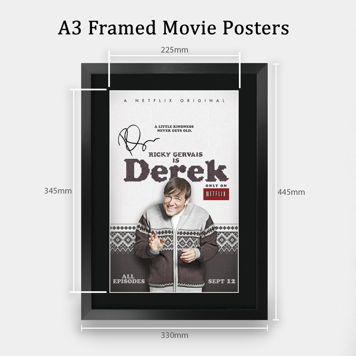 Ricky Gervais Derek Poster