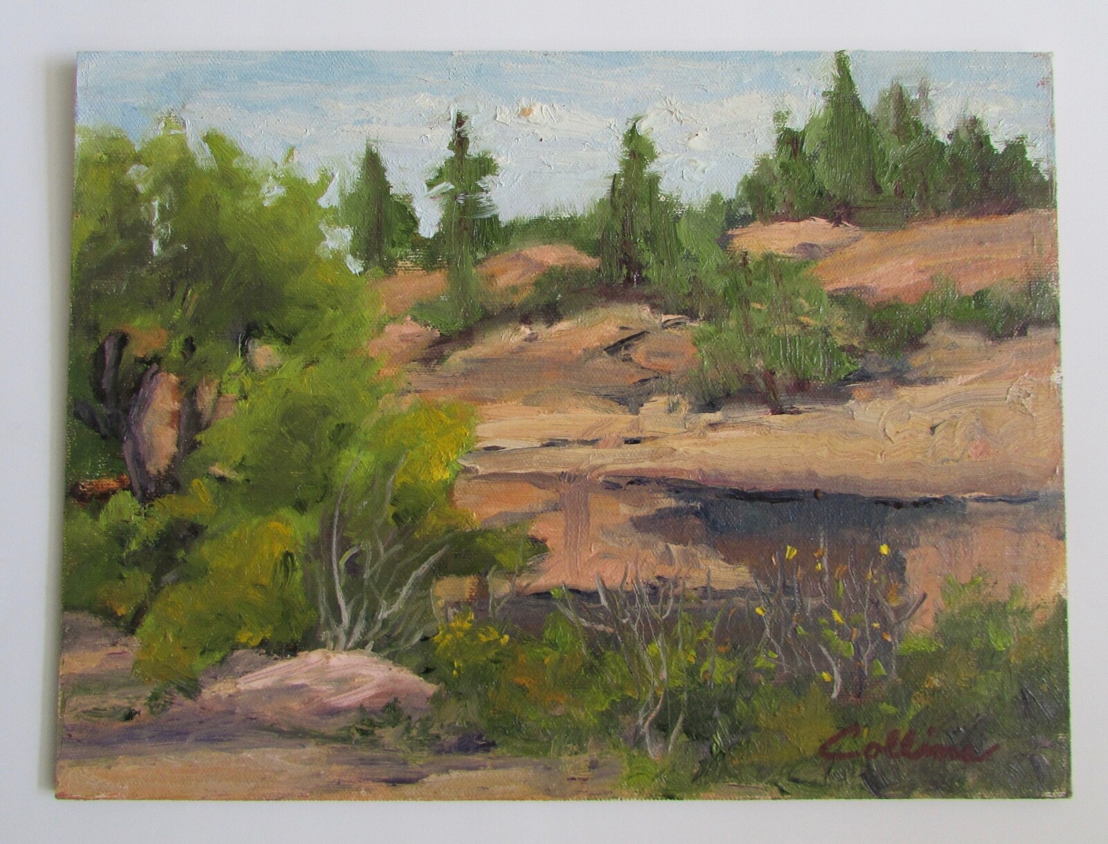 Redman Collins Colorado Springs Oil Painting Rocky Mountain Pines | eBay