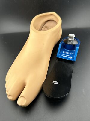 college park breeze prosthetic foot. size 28. right Prosthetic foot. | eBay